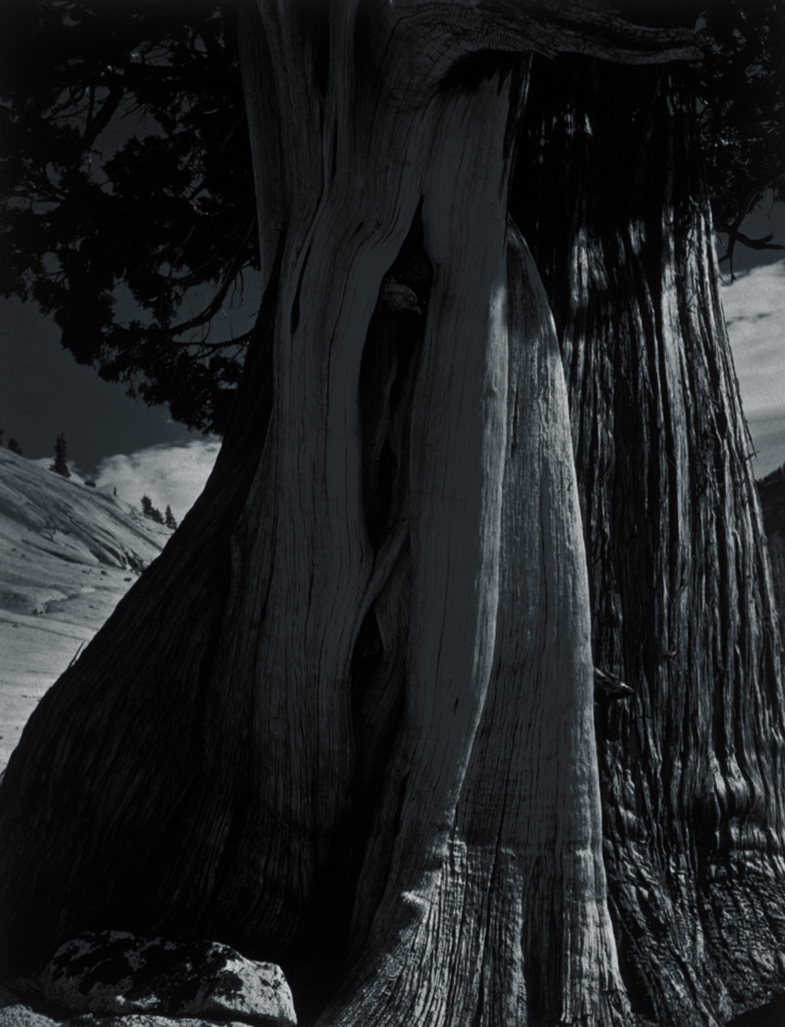 Collections | Jordan Schnitzer Museum of Art