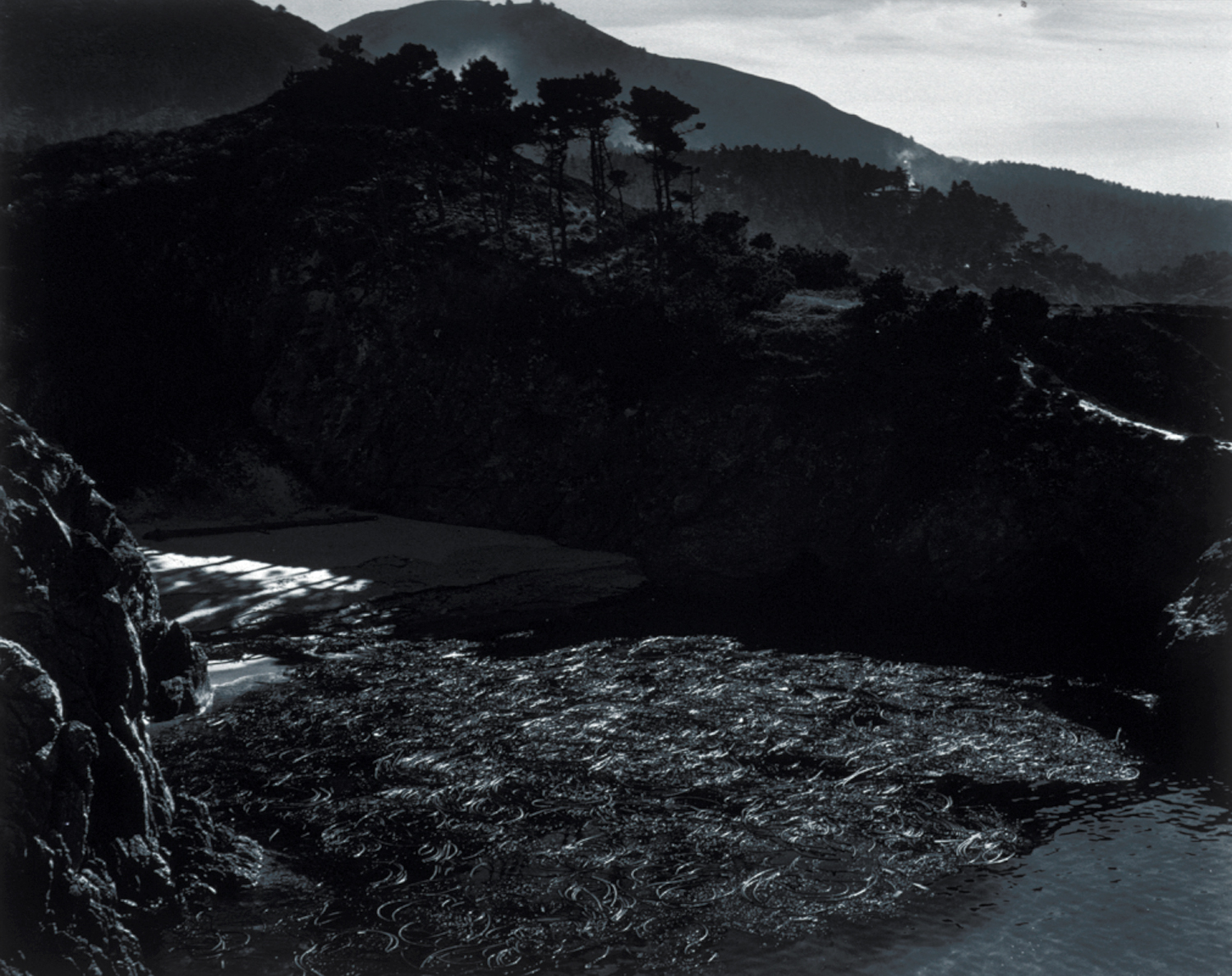 Collections | Jordan Schnitzer Museum of Art