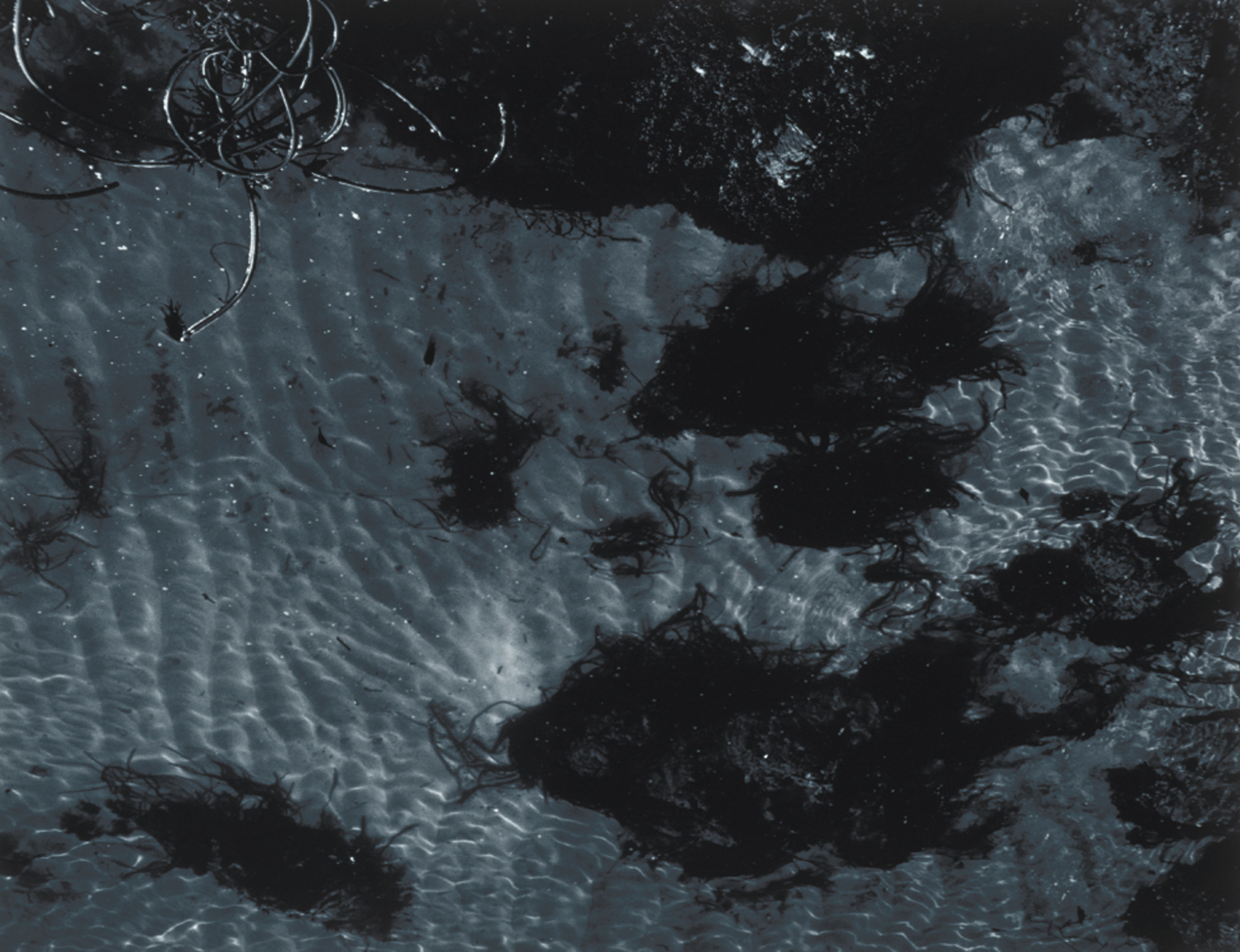 Collections | Jordan Schnitzer Museum of Art