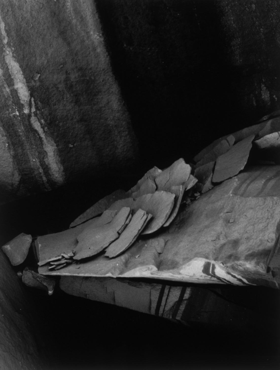 Collections | Jordan Schnitzer Museum of Art