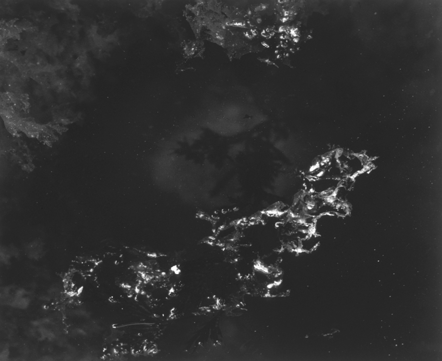 Collections | Jordan Schnitzer Museum of Art