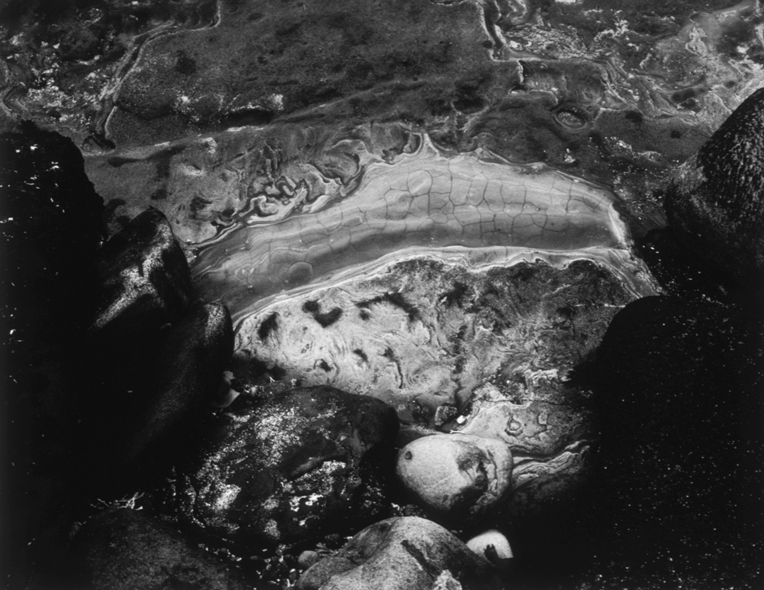 Collections | Jordan Schnitzer Museum of Art