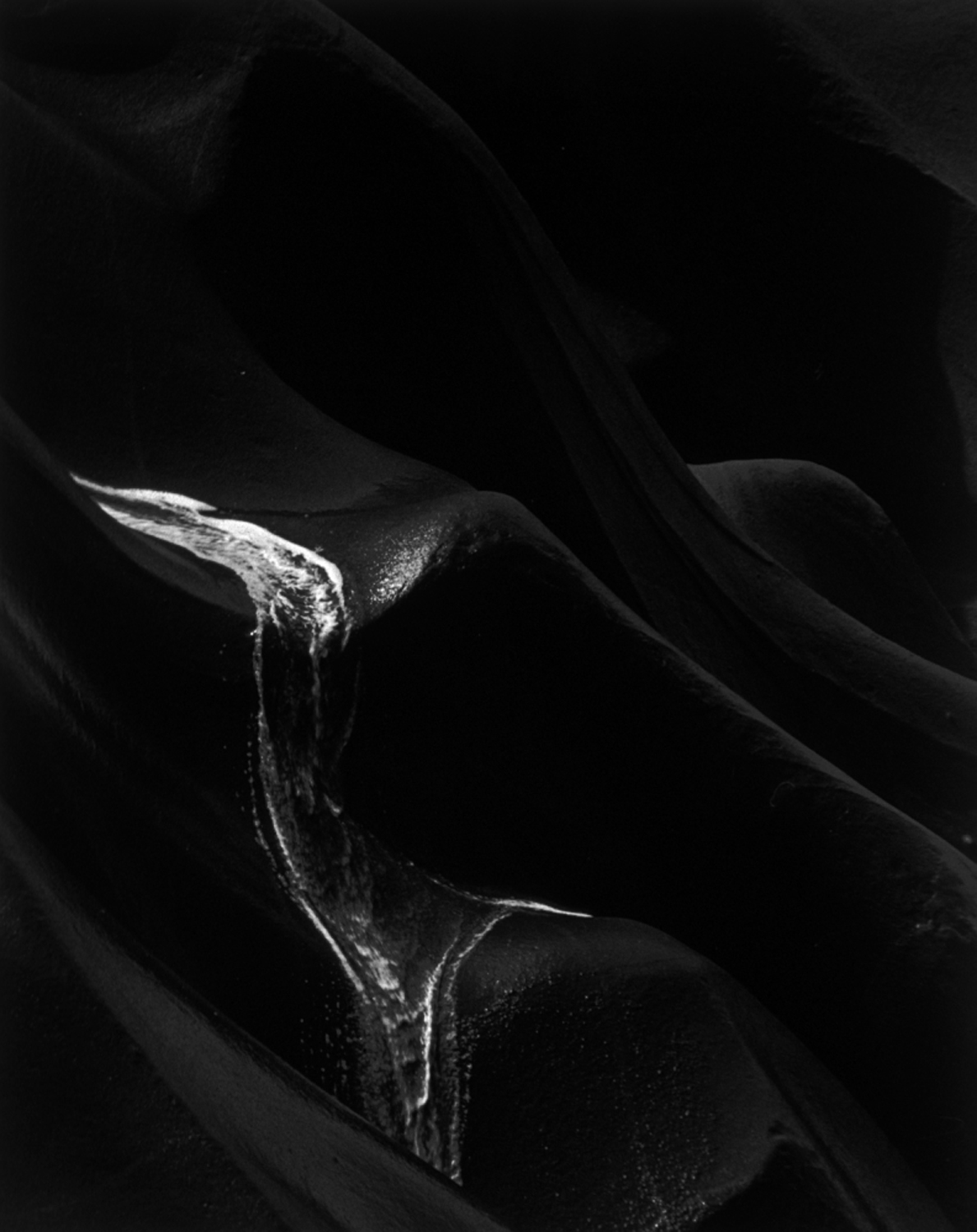 Collections | Jordan Schnitzer Museum of Art