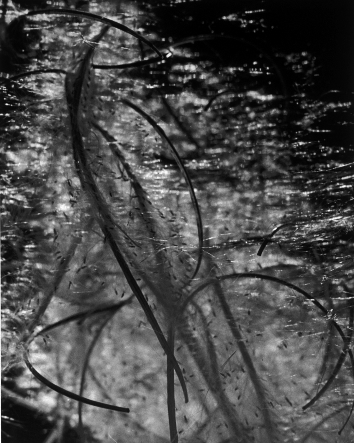 Collections | Jordan Schnitzer Museum of Art