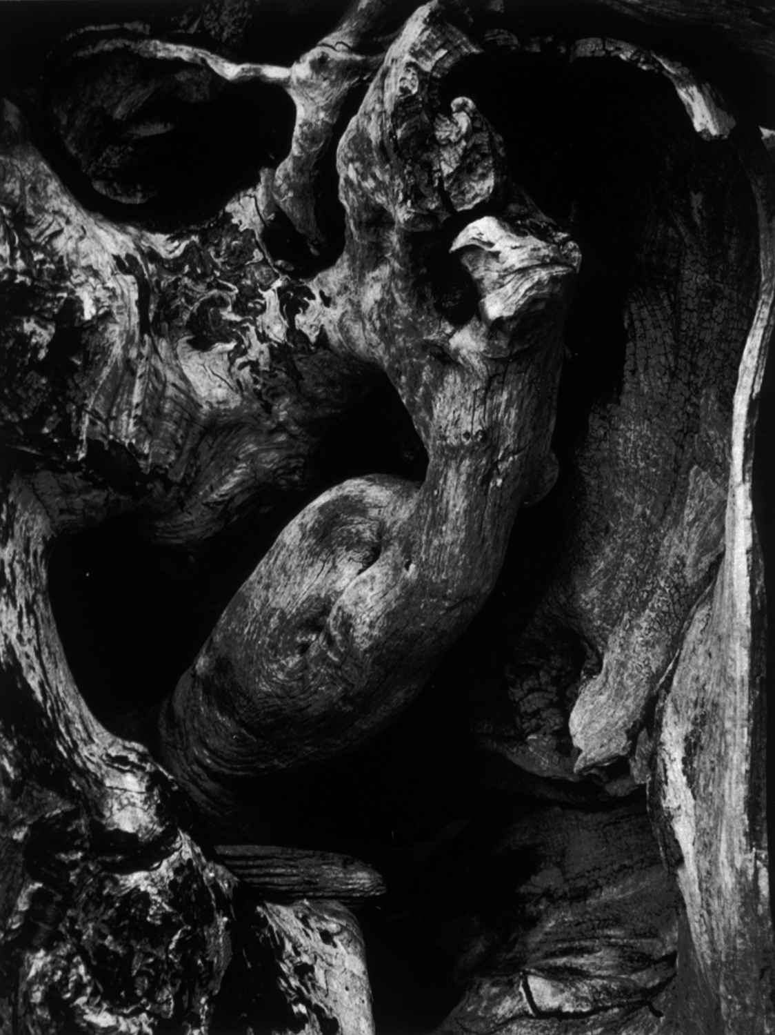 Collections | Jordan Schnitzer Museum of Art