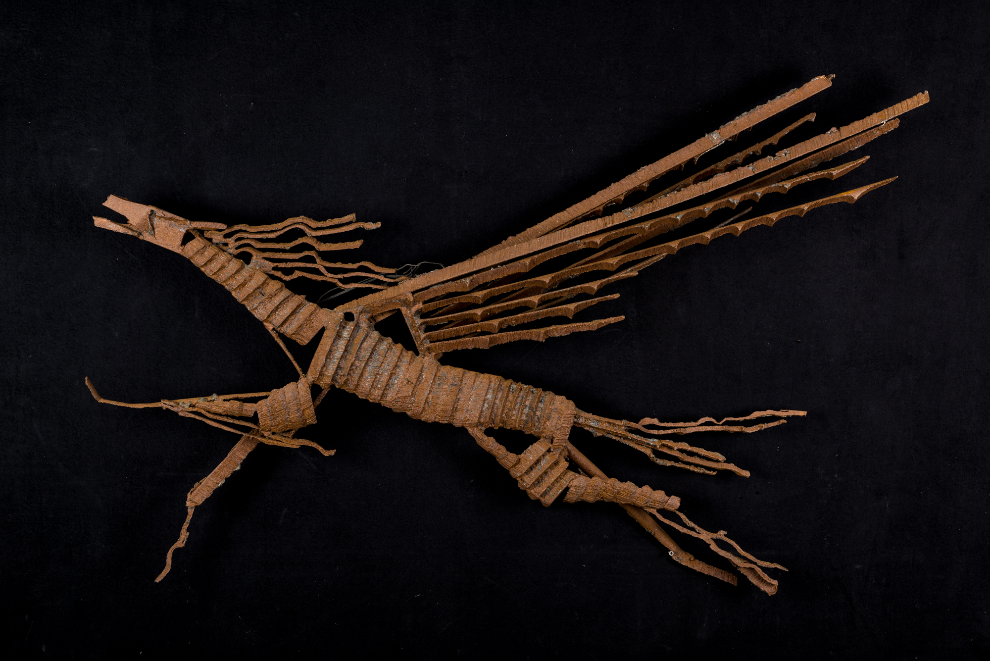 Collections | Jordan Schnitzer Museum of Art