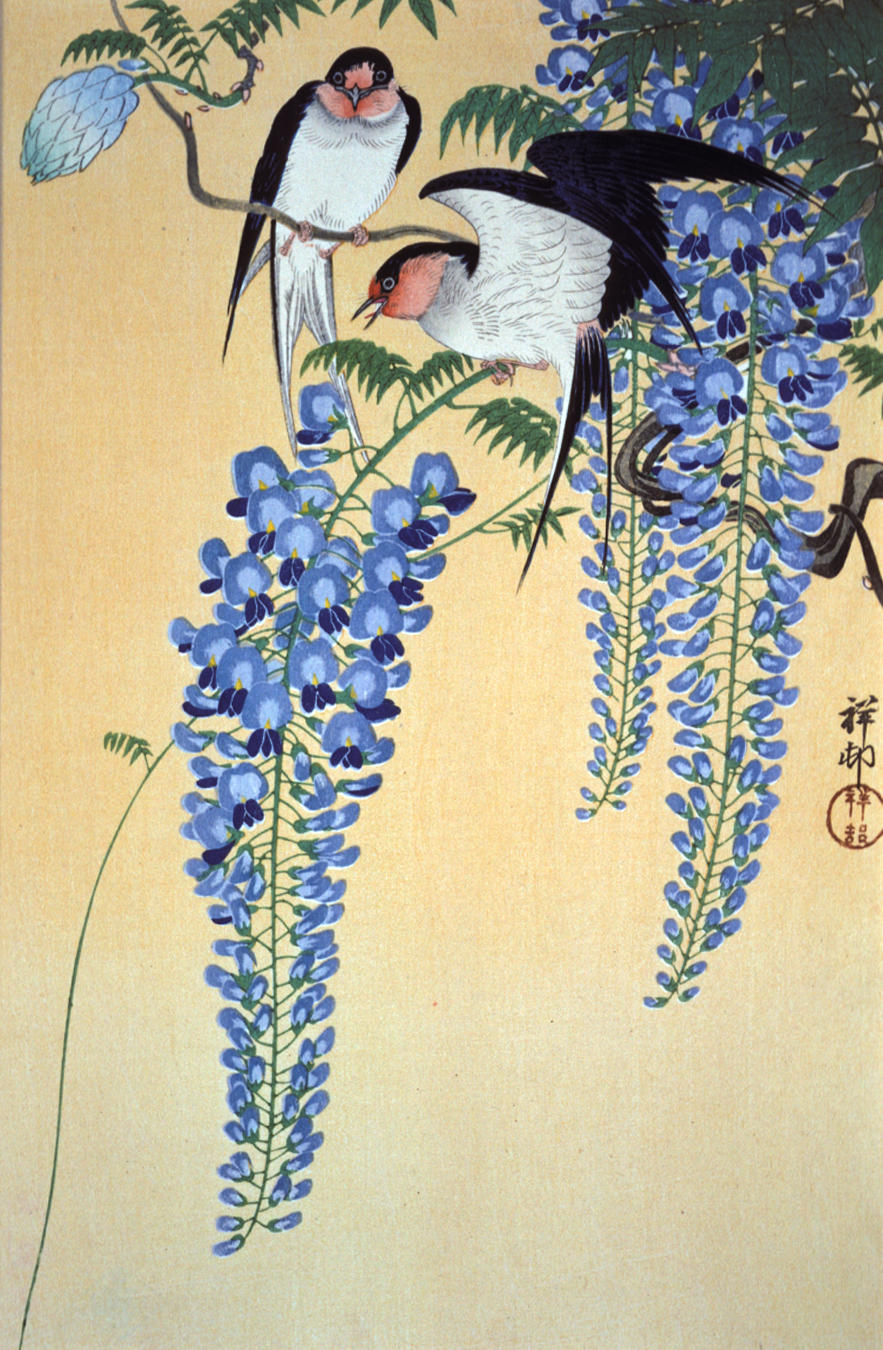 Collections | Jordan Schnitzer Museum of Art